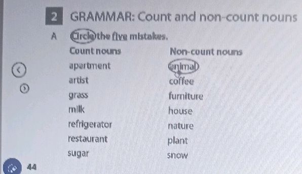 2 GRAMMAR: Count and non-count nouns A | StudyX
