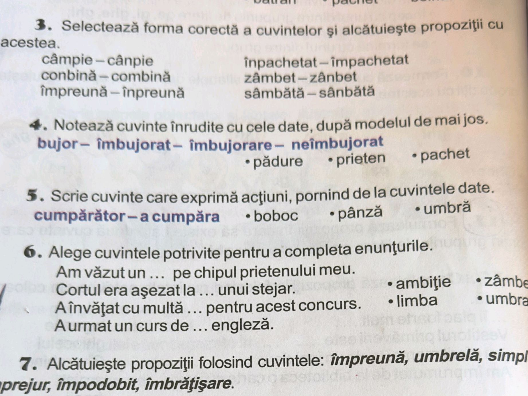 3. Selectează forma corectă a cuvintelor și | StudyX