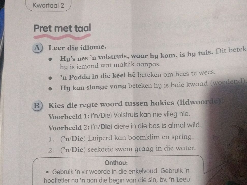 A Leer die idiome. Hy's nes 'n volstruis, | StudyX