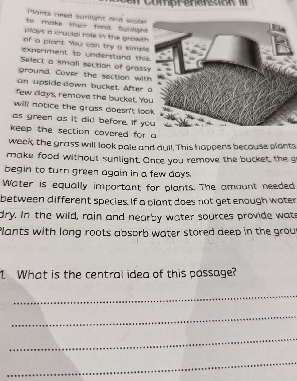 Plants need sunlight and water to make their | StudyX