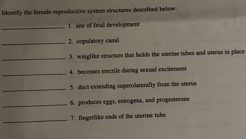Identify the female reproductive system | StudyX