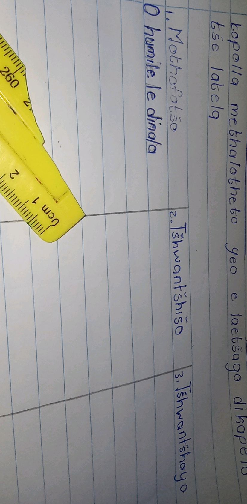 kopolla methalotheto yeo e laetšago dikapelo | StudyX