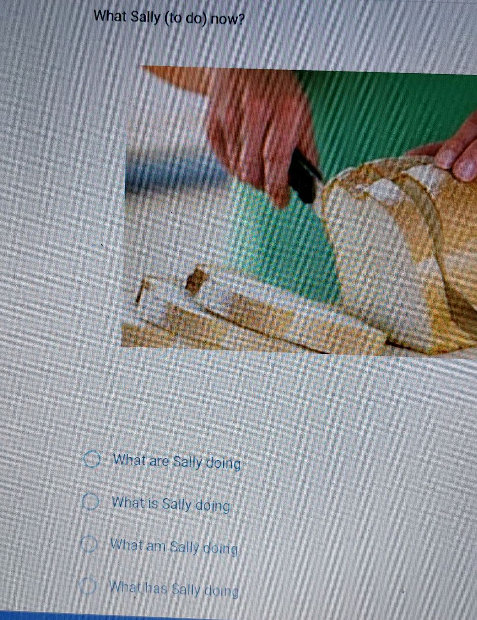 What Sally (to do) now? What are Sally | StudyX