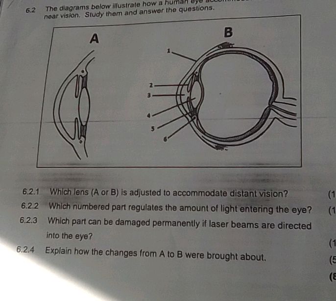 6.2 The diagrams below illustrate how a | StudyX