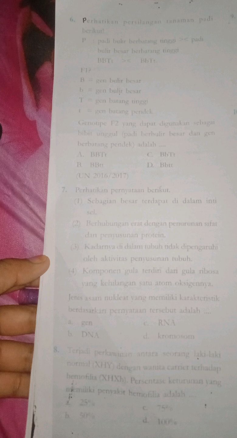 6. Perhatikan persilangan tanaman padi | StudyX