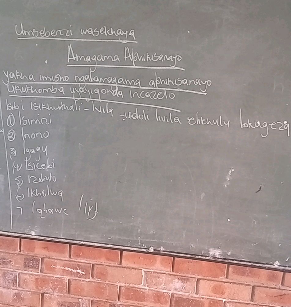 Umsebenzi wasekhaya Amagama Alfhitisanayo | StudyX