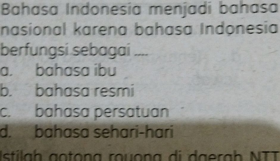 Bahasa Indonesia menjadi bahasa nasional | StudyX