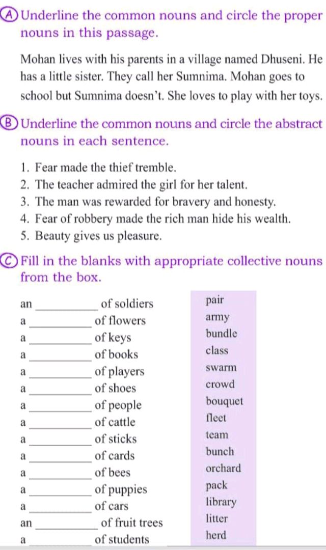 A Underline the common nouns and circle the | StudyX