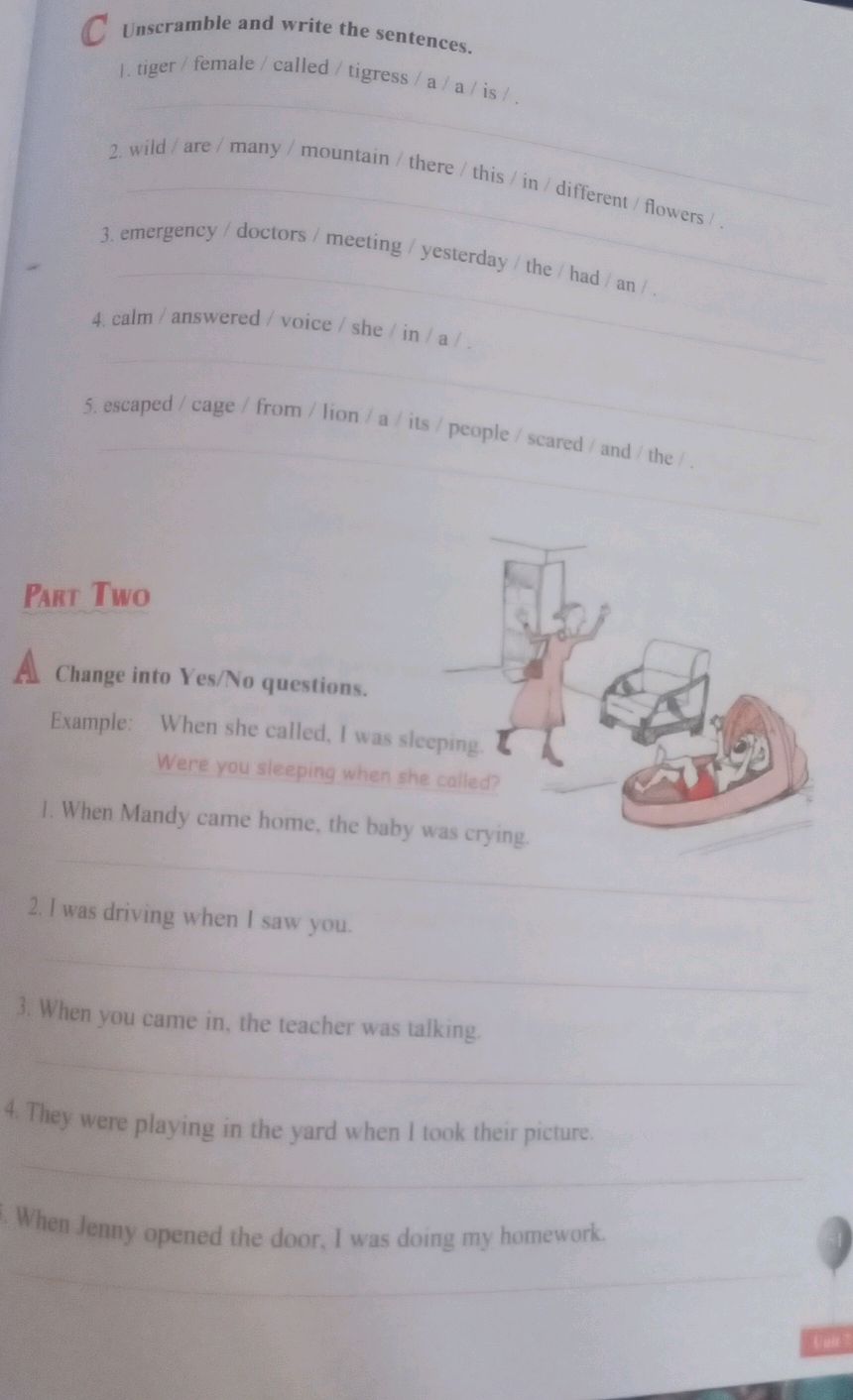 C Unscramble and write the sentences. 1. | StudyX