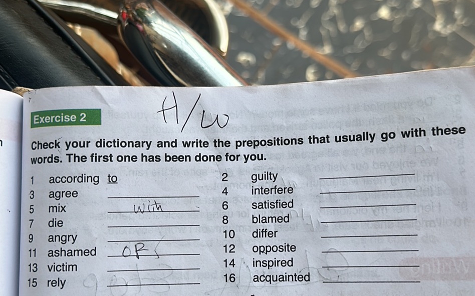 Exercise 2 Check your dictionary and write | StudyX