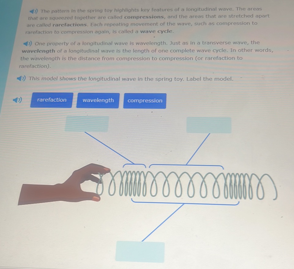 This model shows the longitudinal wave in | StudyX