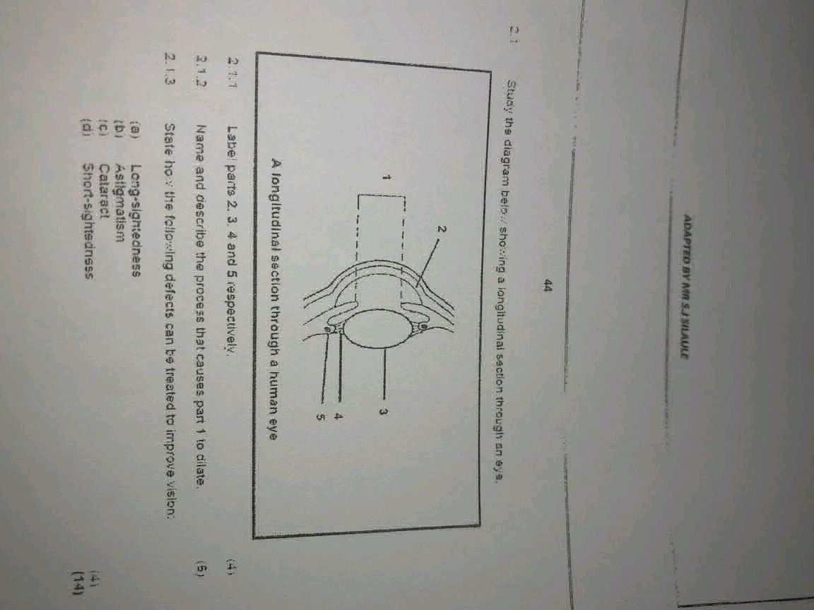 Study the diagram below showing a
