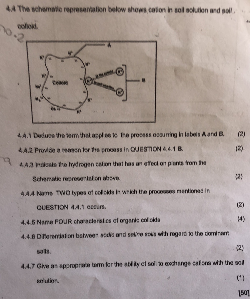 4.4 The schematic representation below shows | StudyX