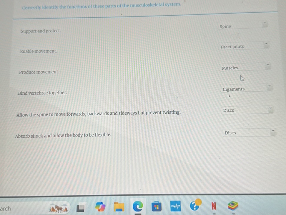 Correctly identify the functions of these | StudyX