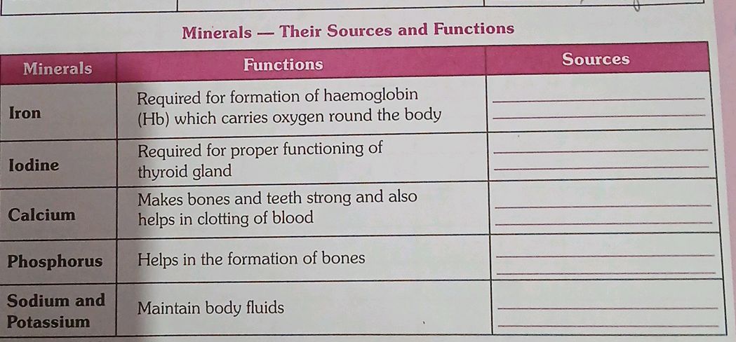 | Minerals | Functions | Sources | | StudyX