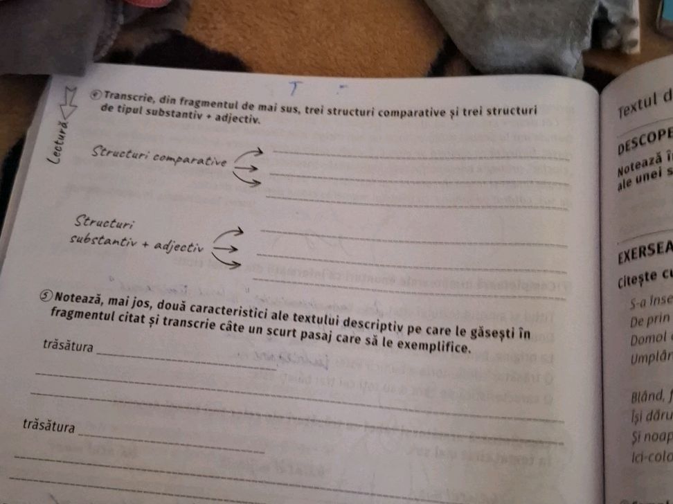Transcrie, din fragmentul de mai sus, trei | StudyX