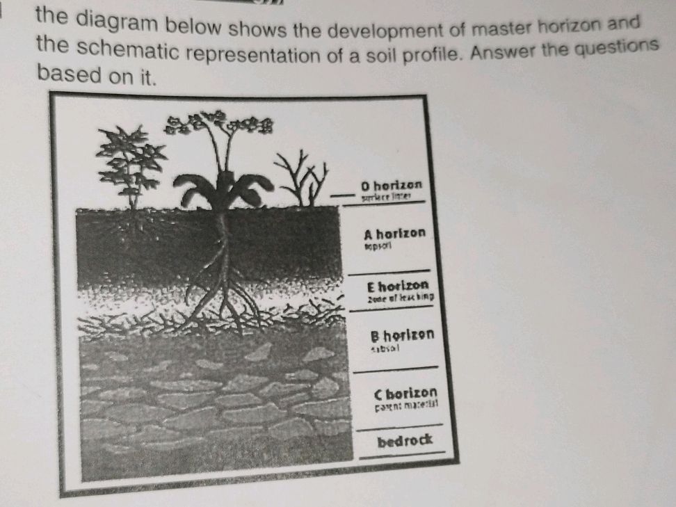 the diagram below shows the development of | StudyX