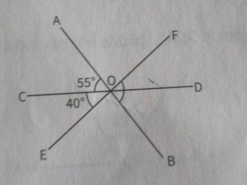 The image shows intersecting lines with | StudyX