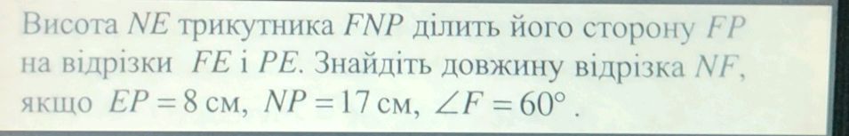 Висота NE трикутника FNP ділить його сторону | StudyX
