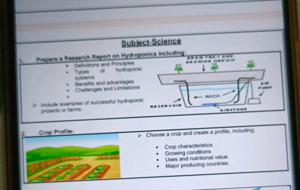 1. Prepare a Research Report on Hydroponics | StudyX