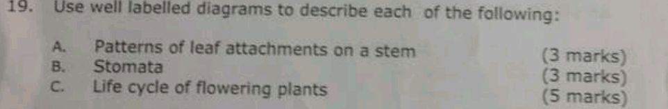 19. Use well labelled diagrams to describe | StudyX