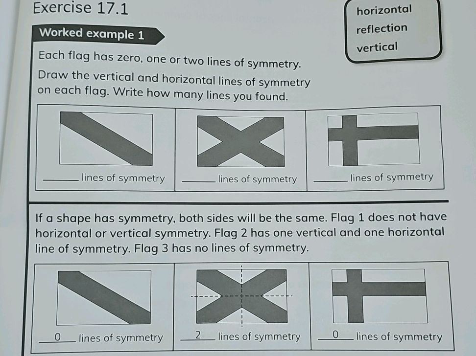 Each flag has zero, one or two lines of | StudyX