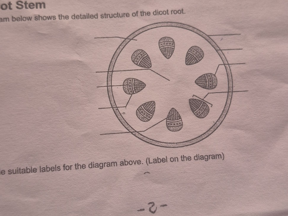 am below shows the detailed structure of the | StudyX