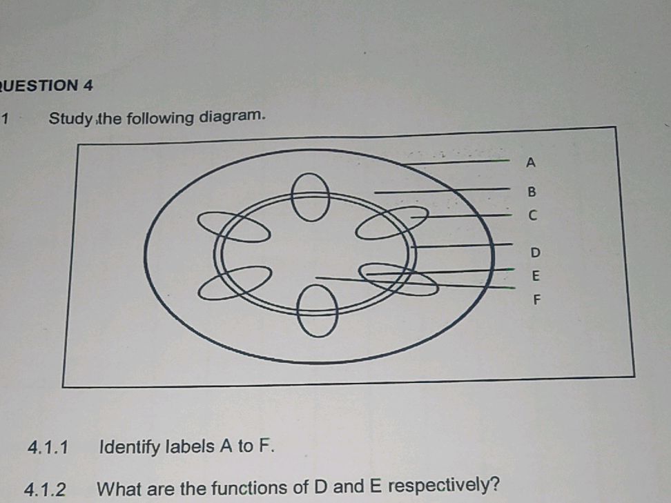 Study the following diagram. Identify | StudyX