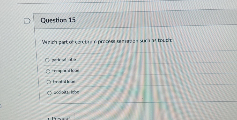 Question 15 Which part of cerebrum process | StudyX
