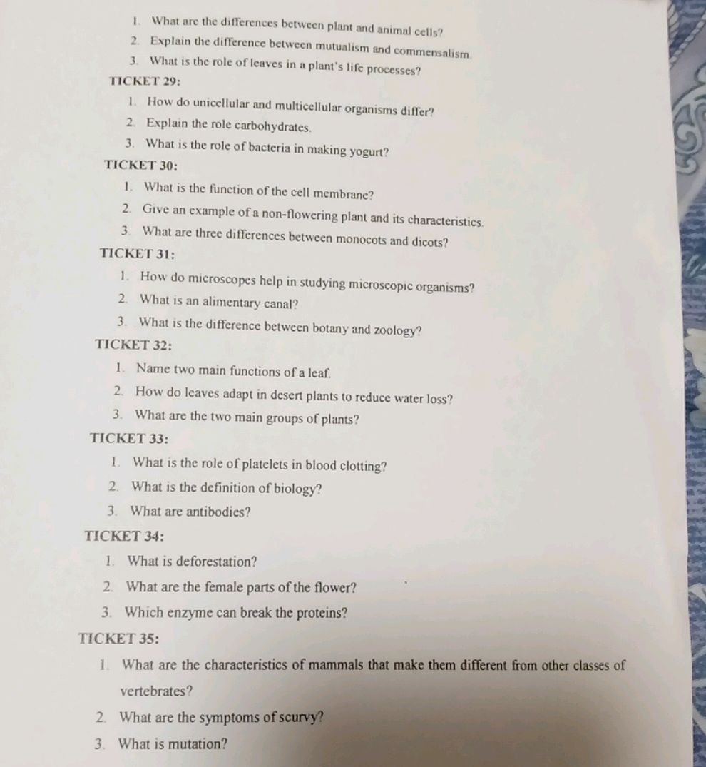 1. What are the differences between plant | StudyX