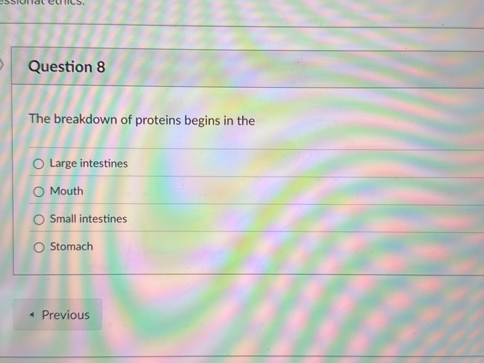 Question 8 The breakdown of proteins begins | StudyX