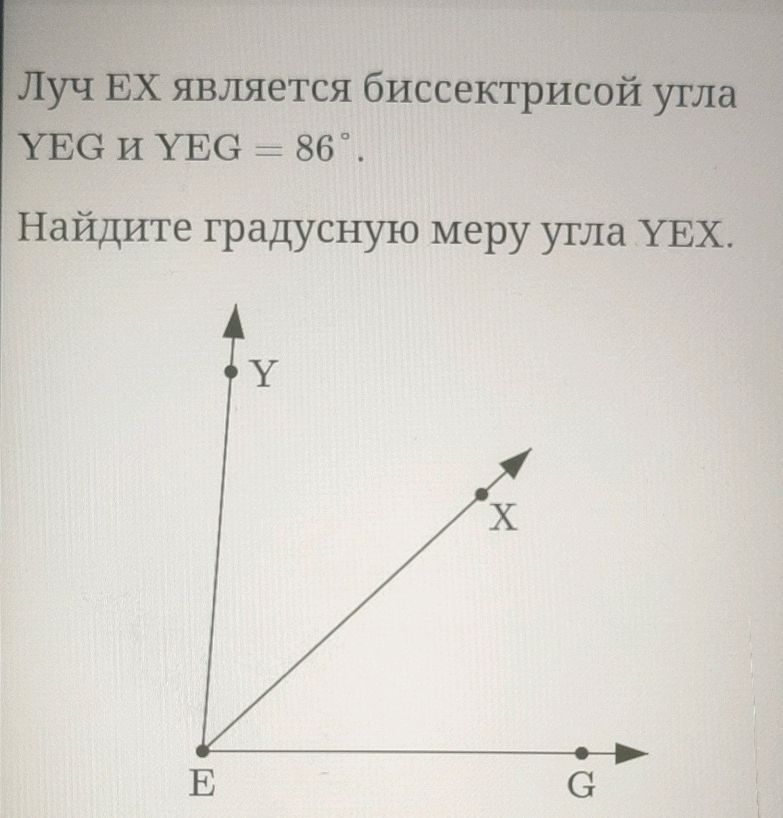 Луч EX является биссектрисой угла YEG и YEG | StudyX