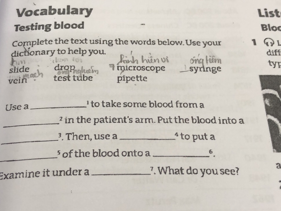 Complete the text using the words below. Use | StudyX