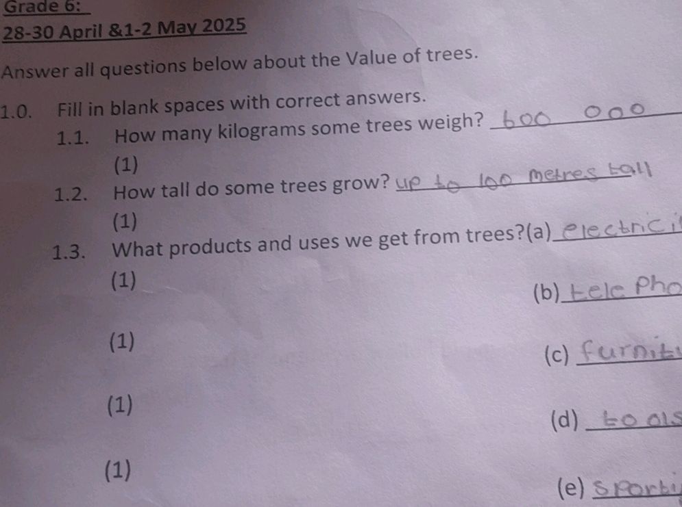 1.0. Fill in blank spaces with correct | StudyX