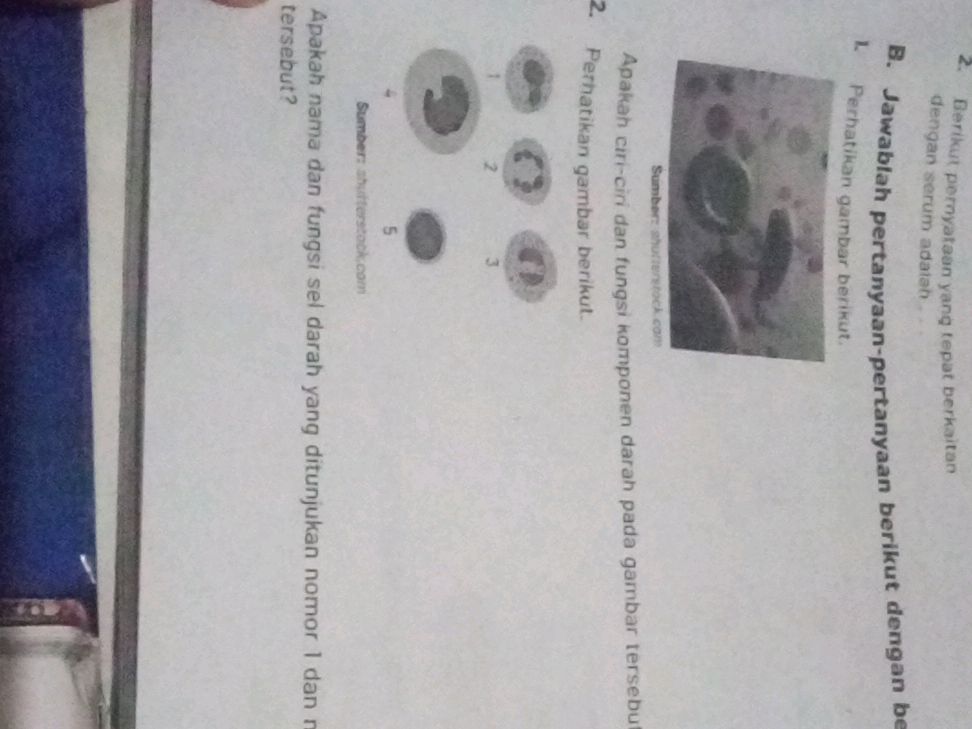 2. Perhatikan gambar berikut. Apakah | StudyX