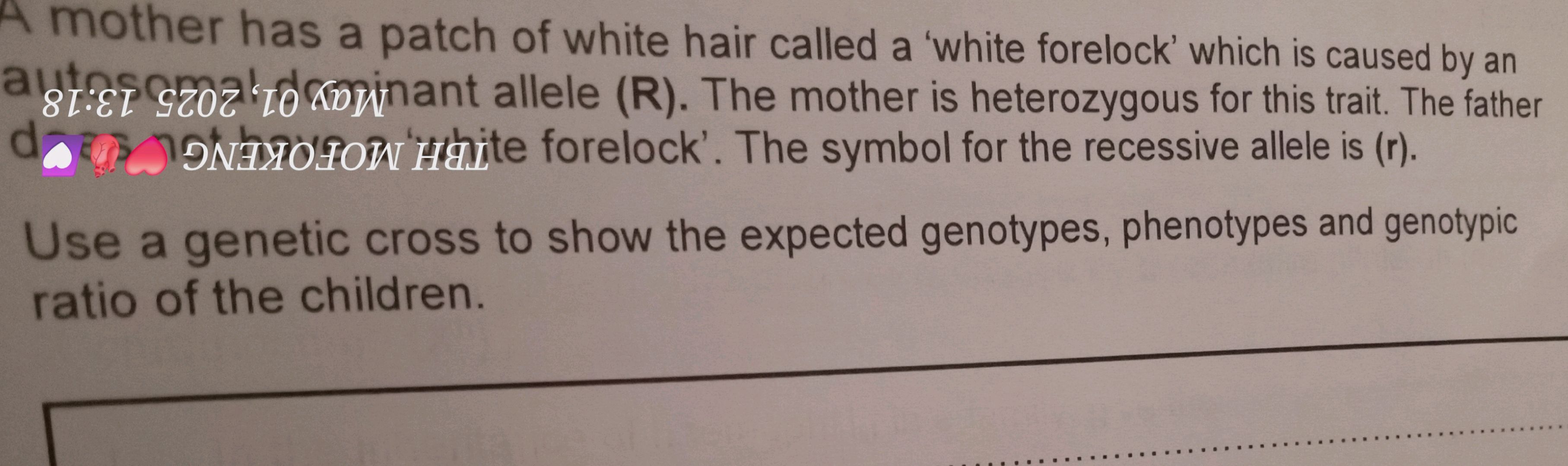A mother has a patch of white hair called a | StudyX