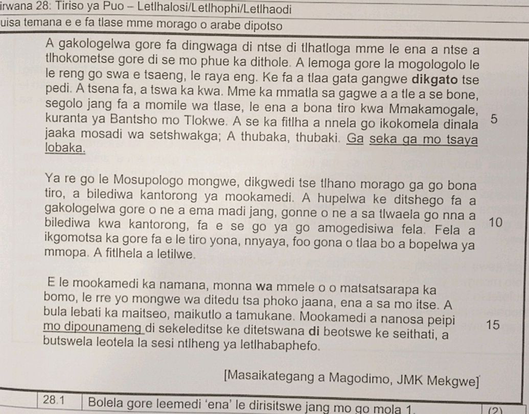 28. Bolela gore leemedi 'ena' le dirisitswe | StudyX