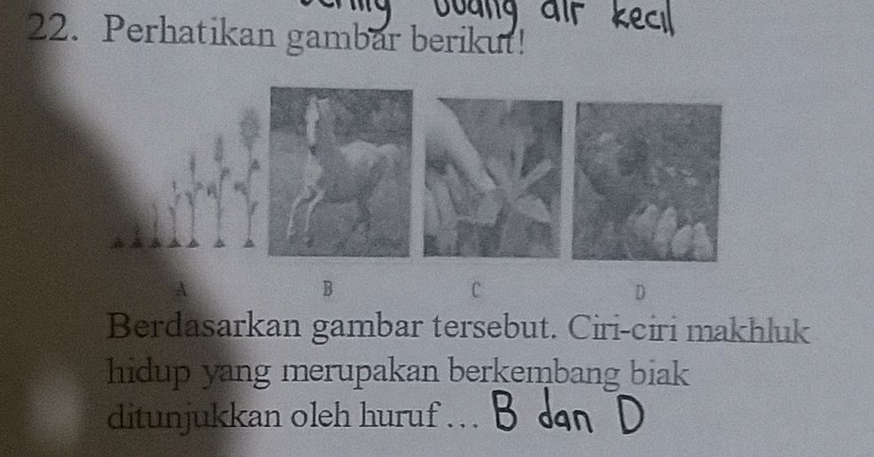 22. Perhatikan gambar berikut! Berdasarkan | StudyX