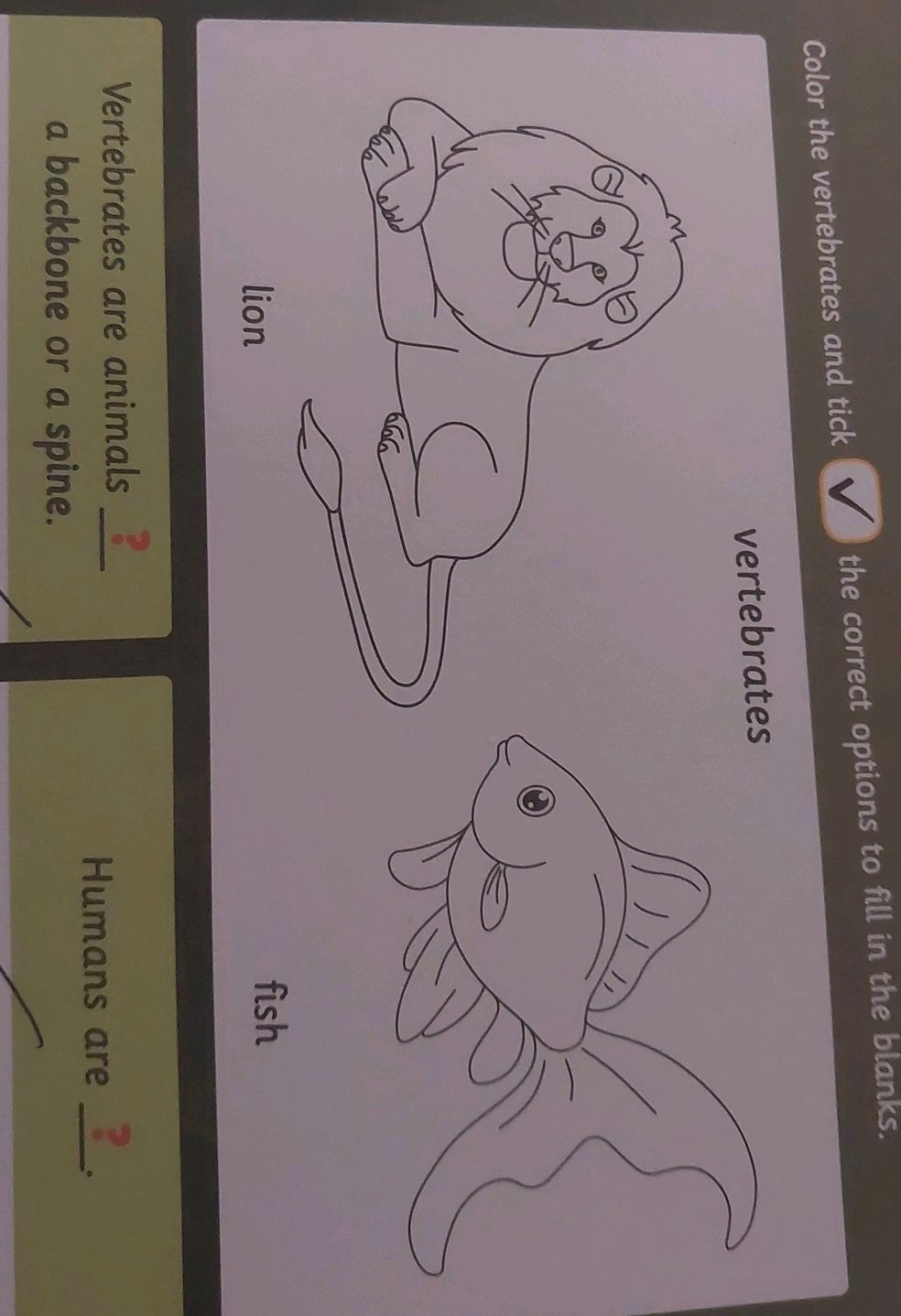 Color the vertebrates and tick the correct | StudyX