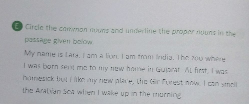 Circle the common nouns and underline the | StudyX