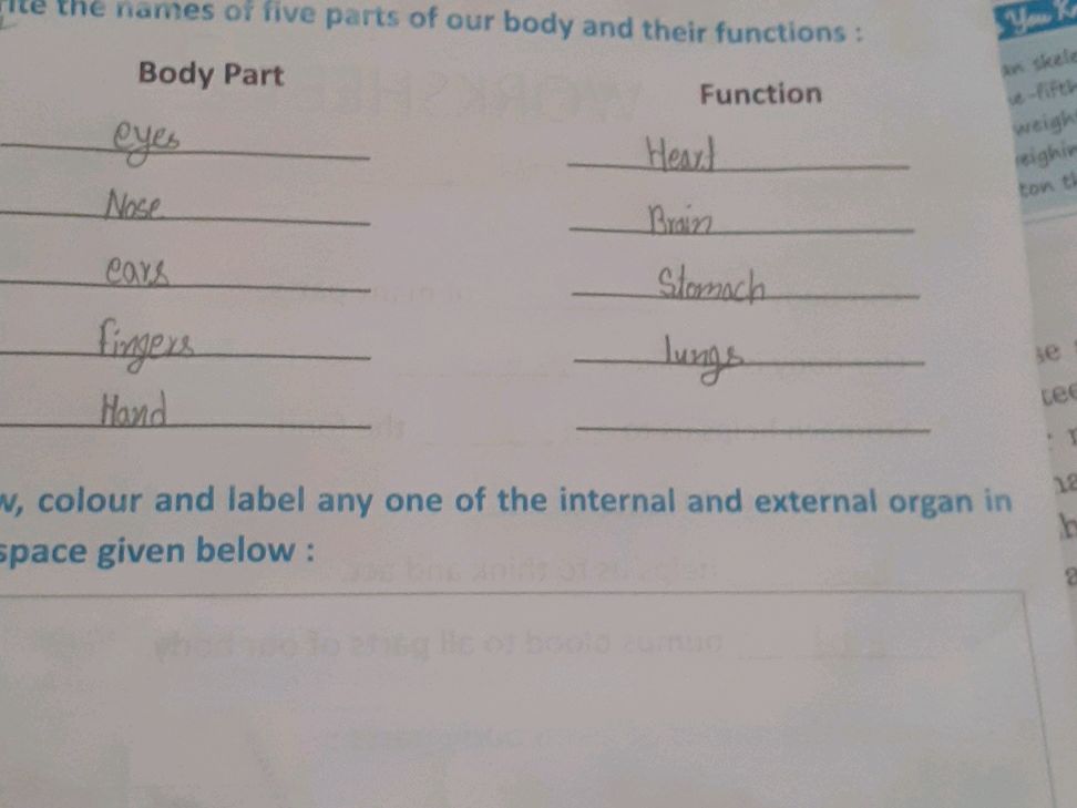 Write the names of five parts of our body | StudyX