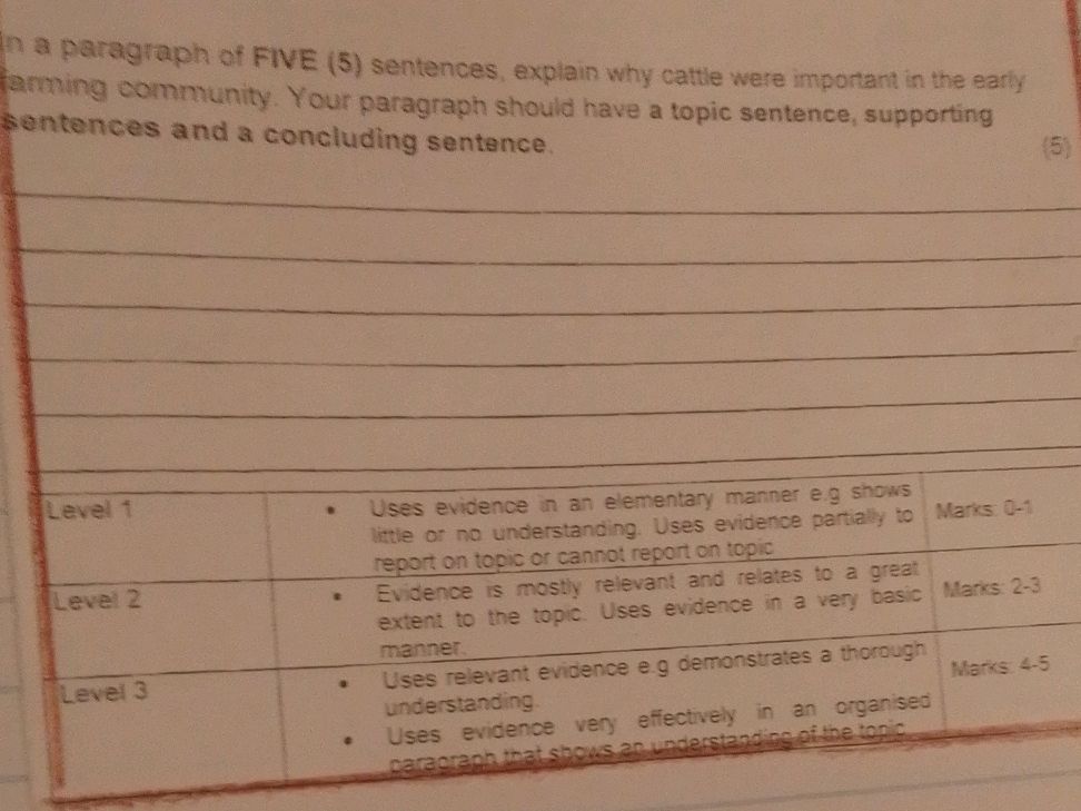 In a paragraph of FIVE (5) sentences, | StudyX