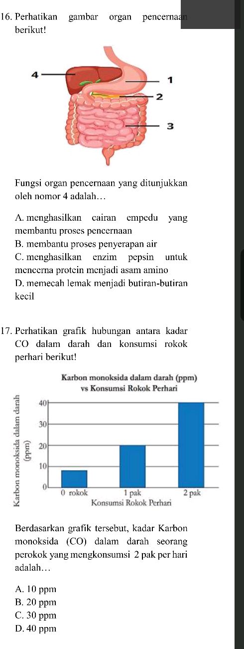 16. Perhatikan gambar organ pencernaan | StudyX