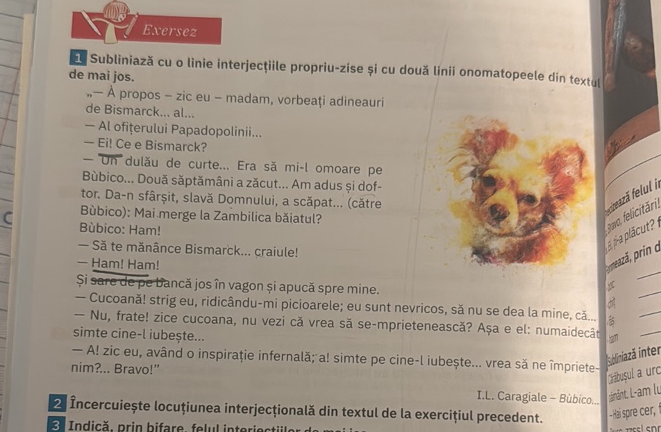 1 Subliniază cu o linie interjecțiile | StudyX