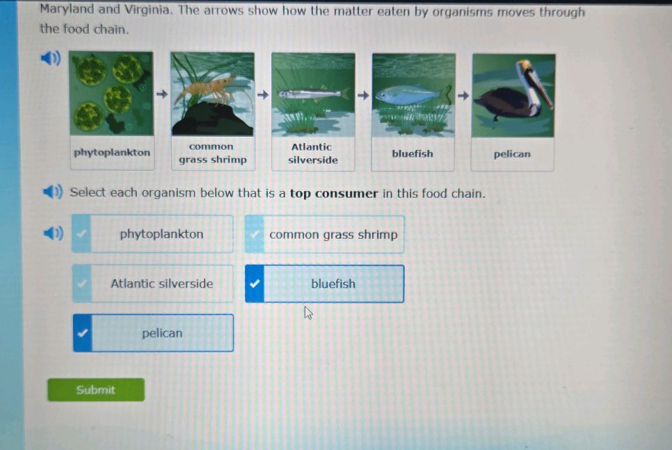 Select each organism below that is a top | StudyX