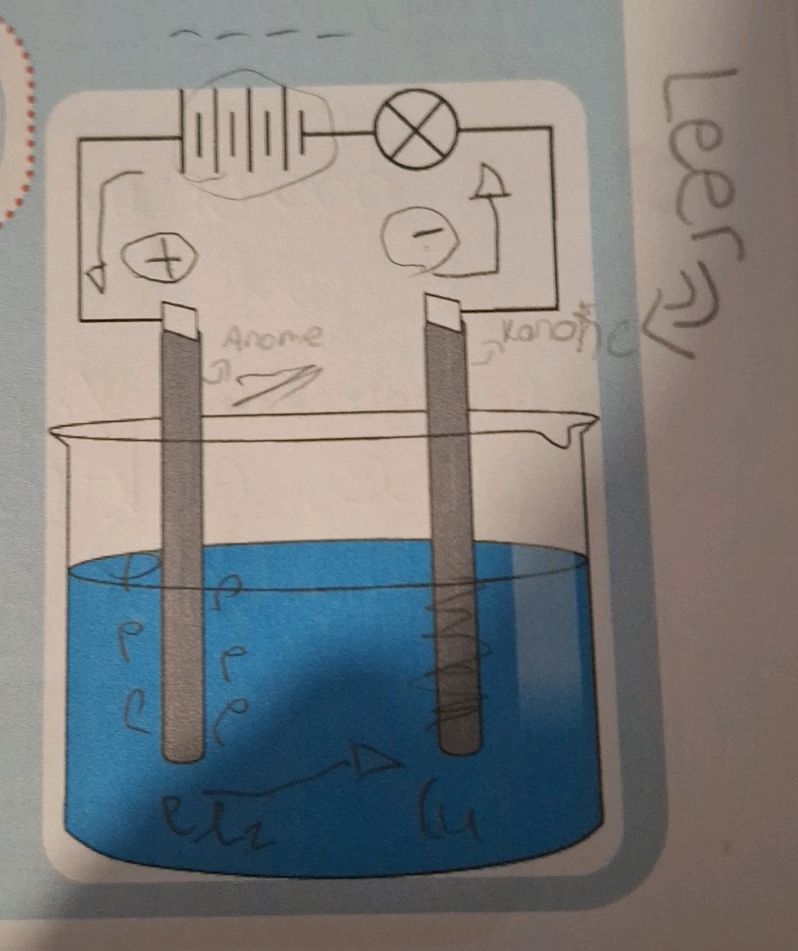 The image shows a diagram of an electrolytic | StudyX