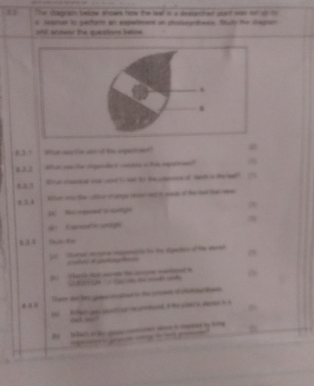 The diagram below shows how the leaf in a | StudyX