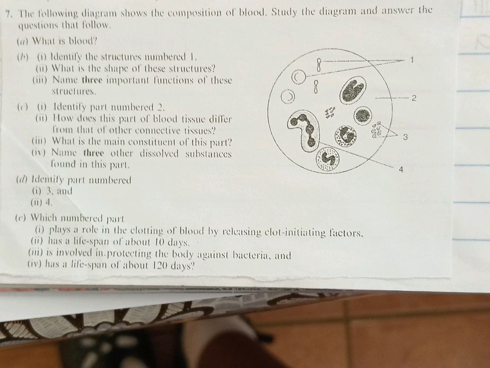 7. The following diagram shows the | StudyX