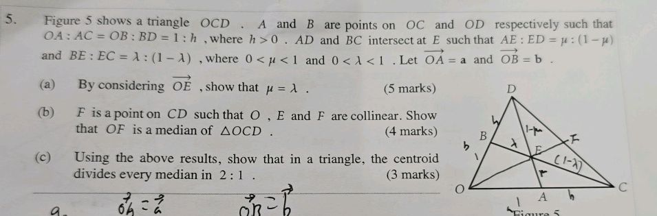 5. Figure 5 shows a triangle OCD. A and B | StudyX