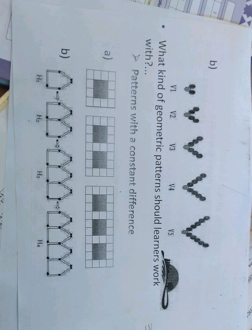 What kind of geometric patterns should | StudyX
